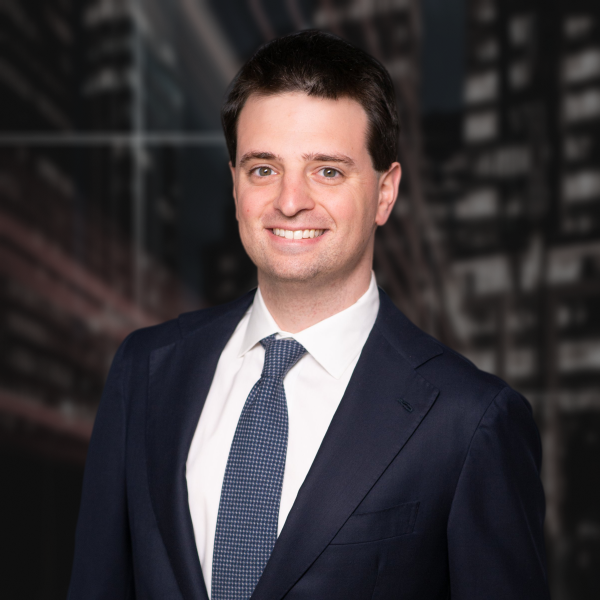 Financial Services Litigation Lawyer New York